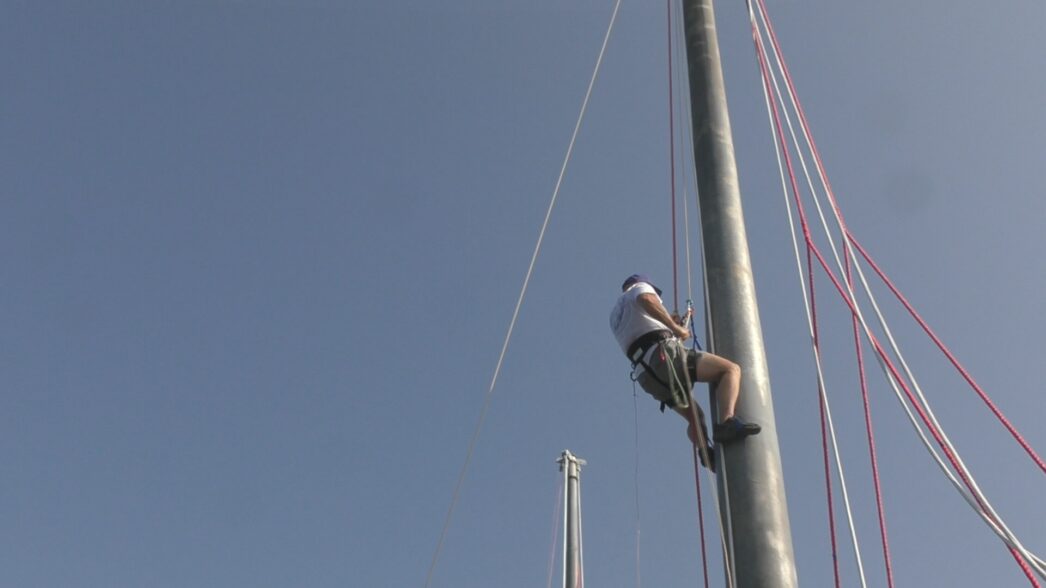 Davit Upgrade, Sheet Clutch Dissection, and Sharks | SV Seeker